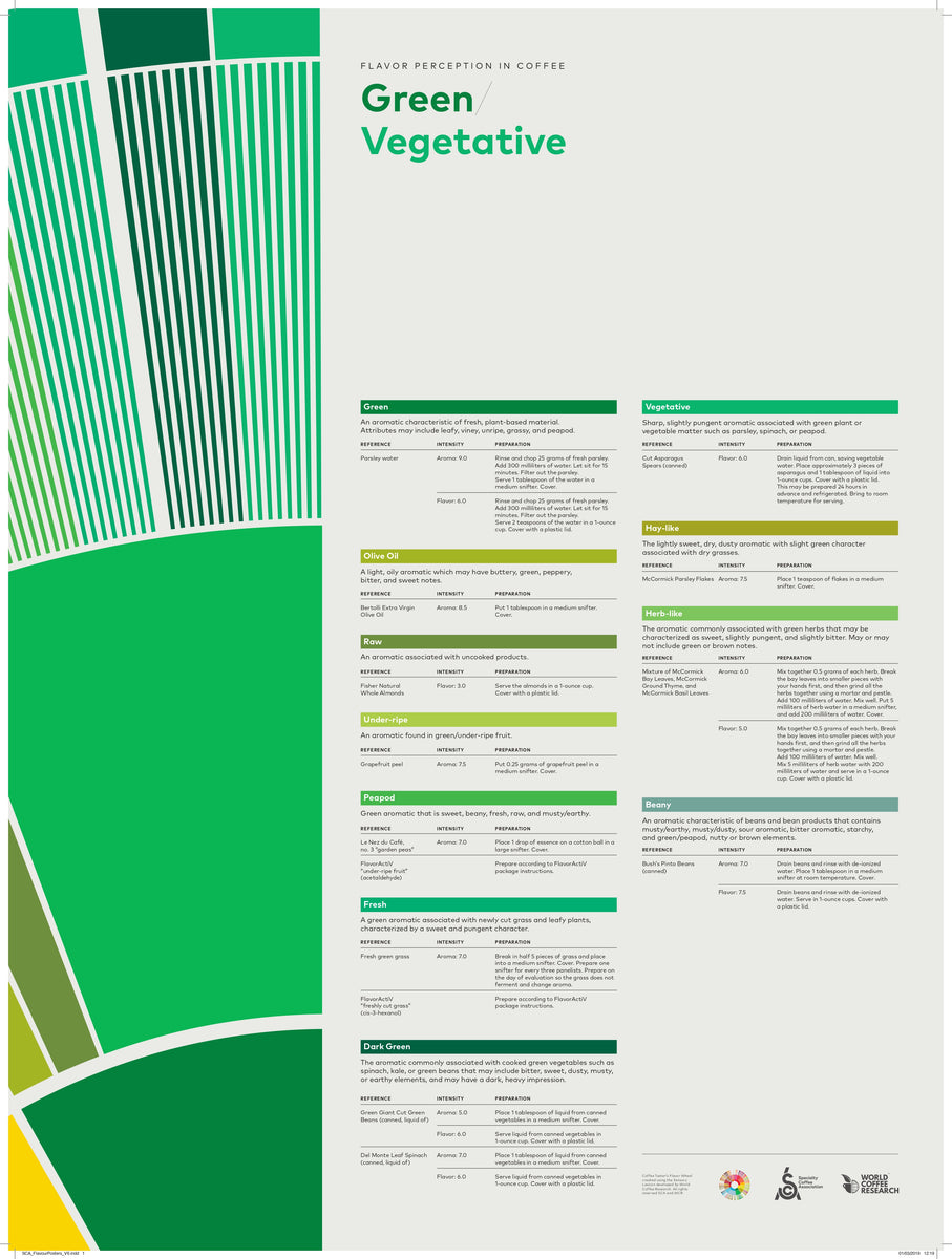 SCA Flavour Poster Green Vegetative – MIKAH World