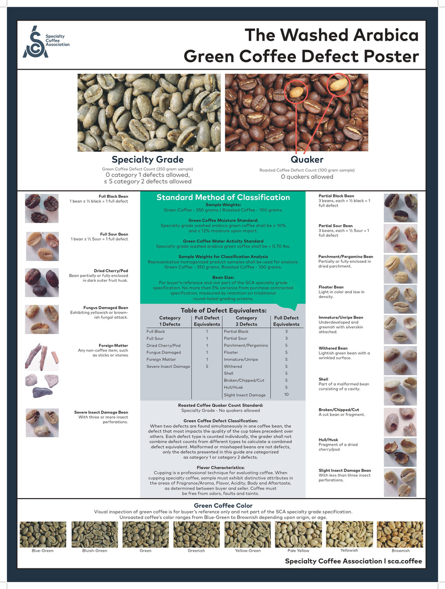 SCA Defect Poster Final US – MIKAH World