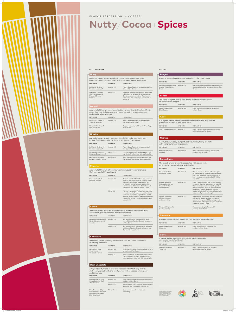 SCA Flavor Poster Nutty Cocoa Spices – MIKAH World