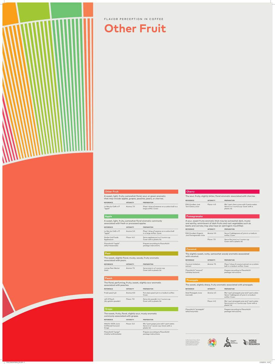 SCA Flavor Poster Other Fruits – MIKAH World