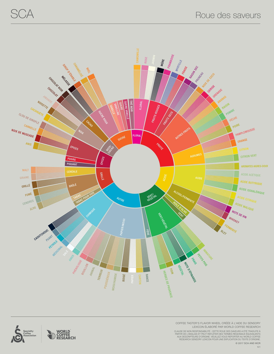 SCA Taster Wheel French – MIKAH World