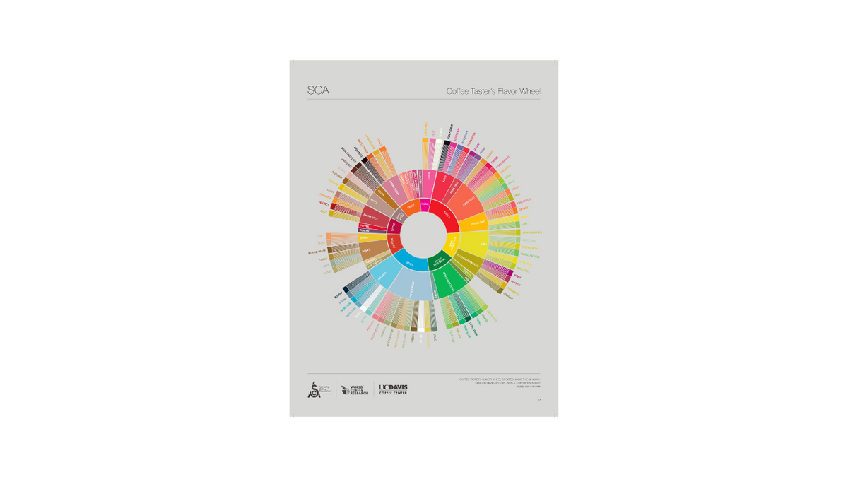 SCA Flavor Wheel Poster English – MIKAH World