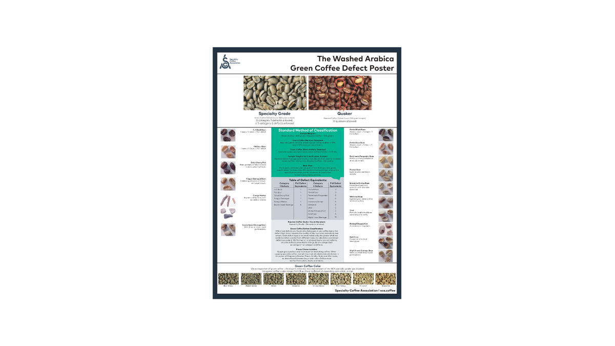 SCA Defect Poster Final UK – MIKAH World